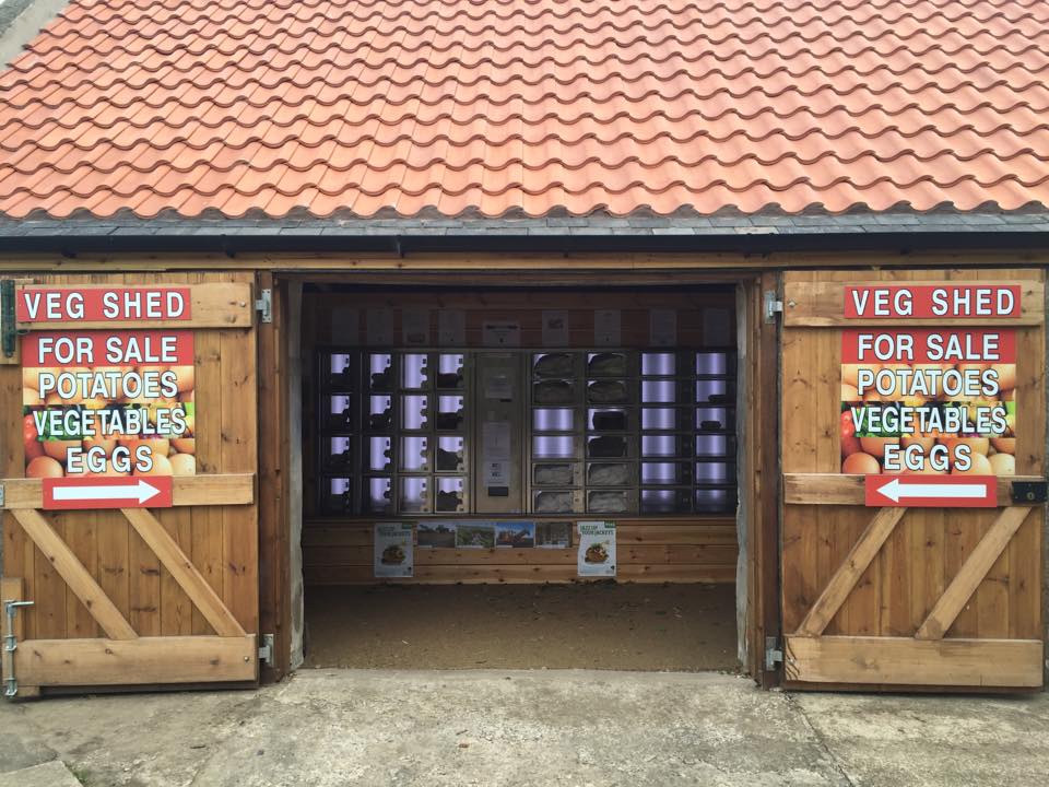 February 2021 News – The Veg Shed
